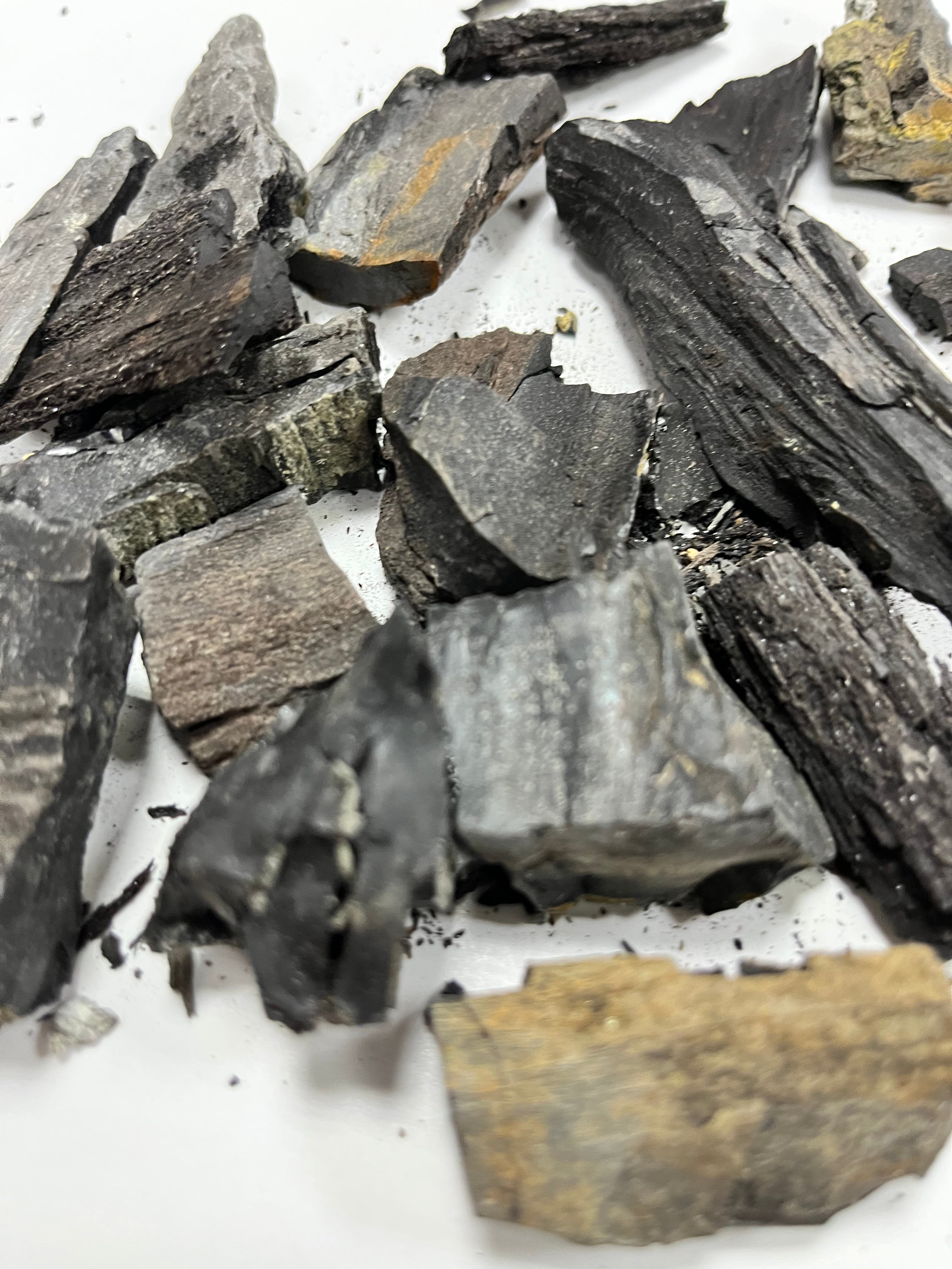 Azabache en bruto – Vega Luna Dream